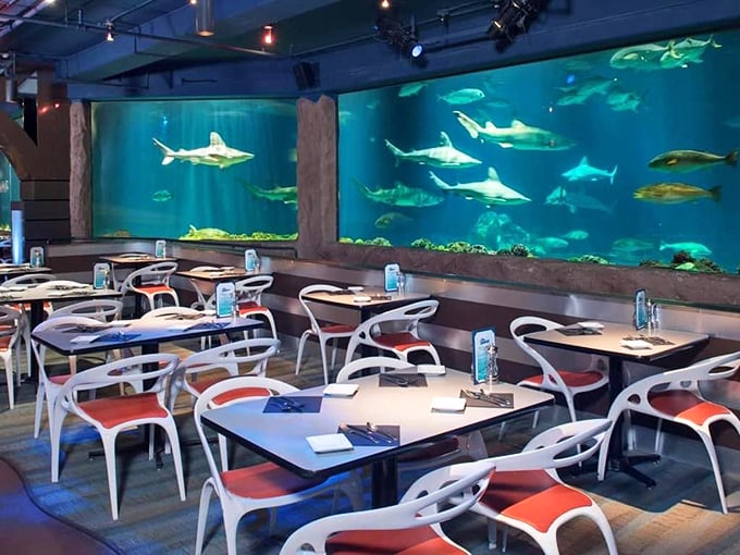 Sharks Underwater Grill offers the ultimate thrill - dining with actual sharks swimming just inches away! Those blue-tinted lights create the perfect dramatic atmosphere.