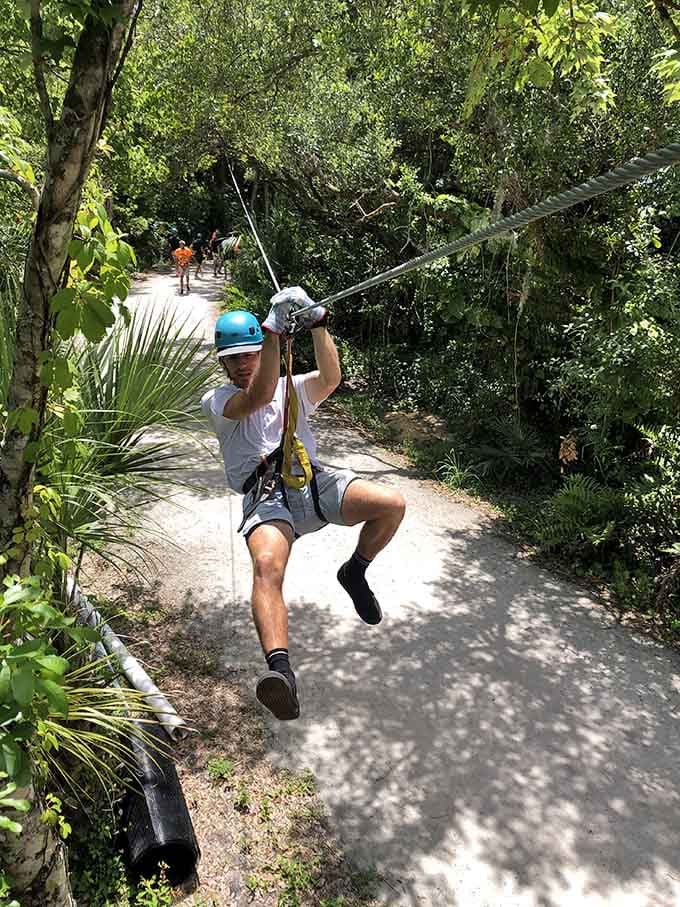 Zipping through a zoo's treetops while exotic animals roam below creates the ultimate wildlife viewing experience.