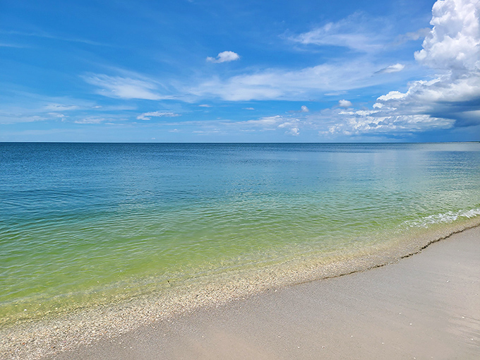 Cayo Costa's shoreline stretches for miles without a single footprint to disturb its perfect sand.