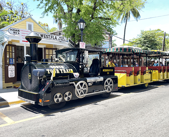 All aboard the Conch Tour Train for a journey through Key West's colorful streets and fascinating history.