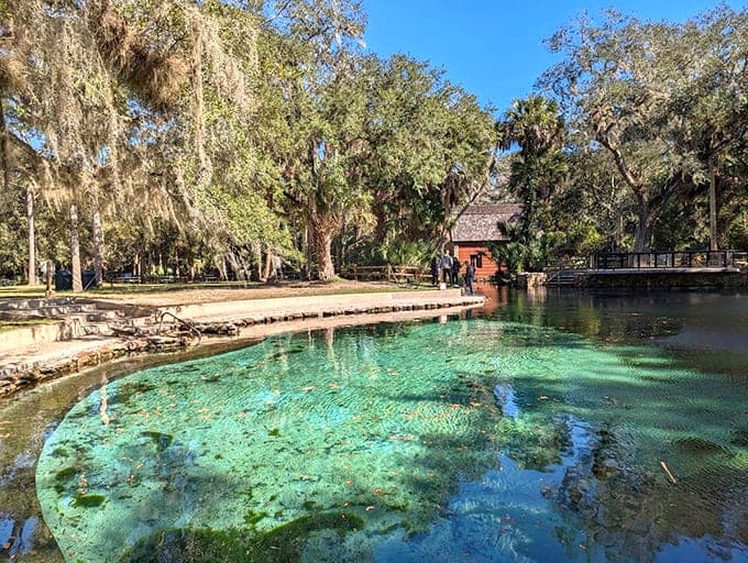 Stairs leading into crystal-clear water, because nature believes in making grand entrances.