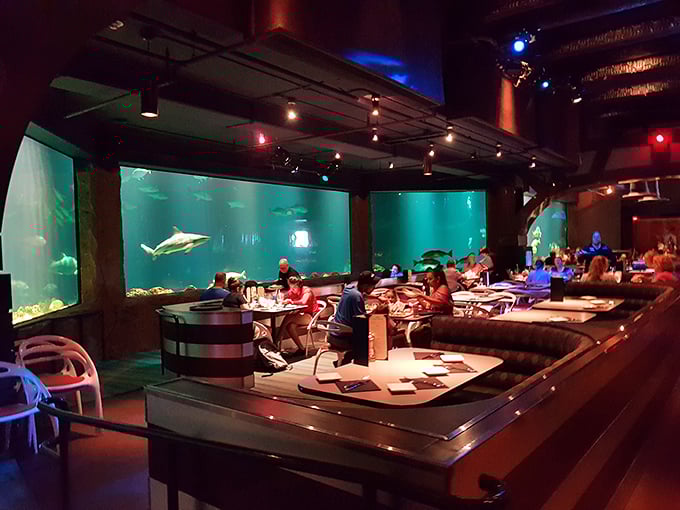 The dining room at Sharks Underwater Grill features comfortable seating arranged for optimal views of their massive shark habitat. Dinner and a show, with teeth!