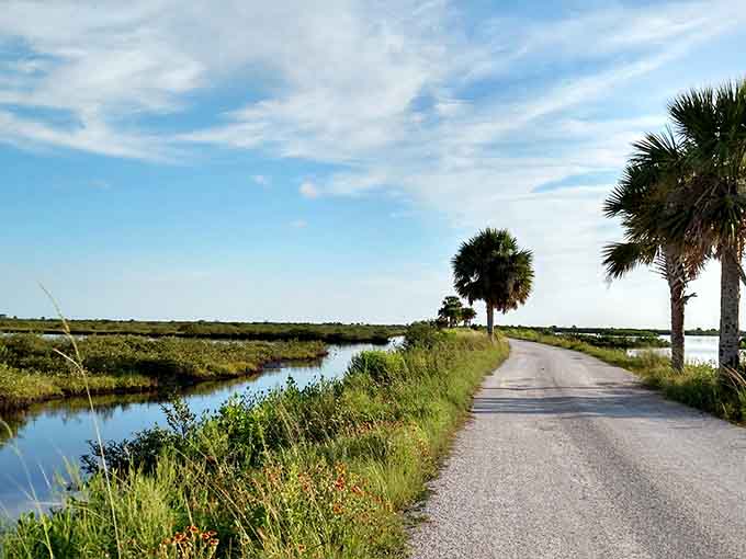 This marsh road offers nature at its finest, plus a side of supernatural phenomena for those who stick around after dark.
