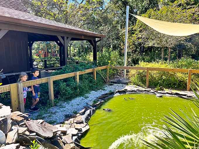 Nature programs that draw crowds who actually want to learn, proving education and entertainment can coexist peacefully.