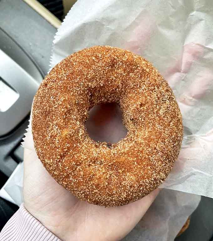 The apple cider donut, rolled in cinnamon sugar, is autumn's greatest achievement – sorry, colorful leaves and pumpkin patches.
