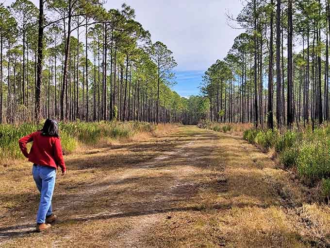 Bayard Conservation Area trails remind you that Florida's natural beauty extends well beyond its famous coastline and beaches.