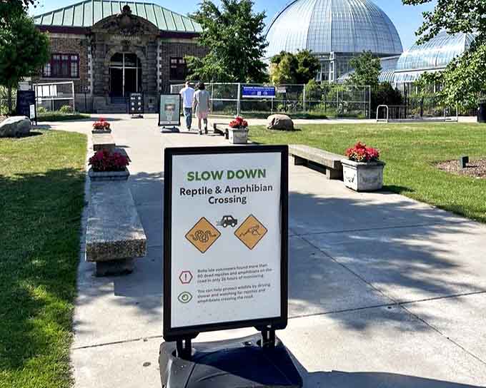 Slow down: Reptile & Amphibian Crossing &ndash; the only traffic sign that makes you simultaneously chuckle and check your shoes.
