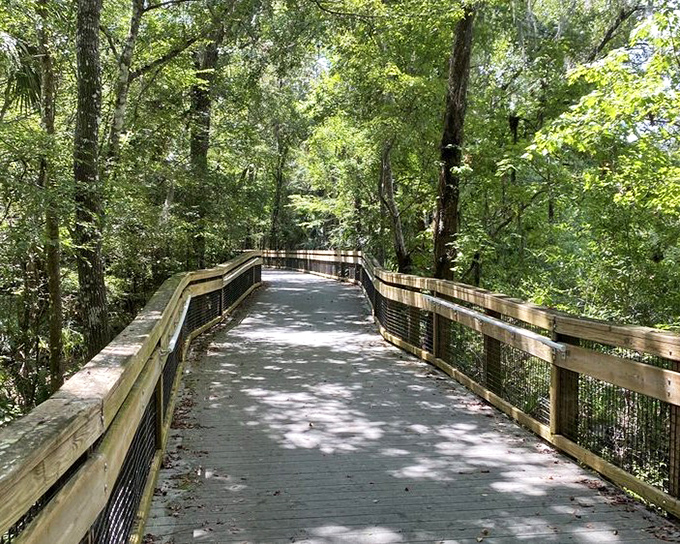 Wooden boardwalks make this slice of paradise accessible to all, proving nature's beauty shouldn't require Olympic-level hiking skills.