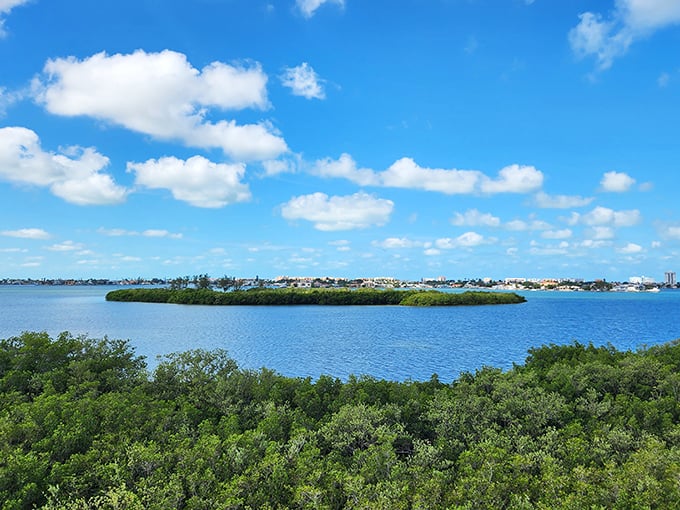 Boca Ciega Bay stretches out like a blue blanket under cotton candy clouds &ndash; Florida showing off again.