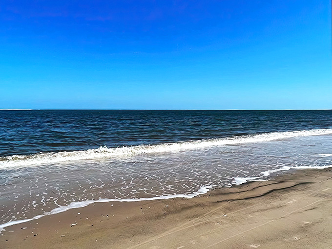 This is what happens when erosion gets creative, turning a regular beach into something that looks like it belongs on another planet entirely.