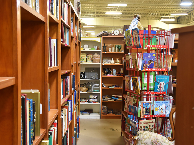 Literary worlds stack floor to ceiling, their spines a colorful timeline of ideas, adventures, and forgotten bestsellers waiting for rediscovery.