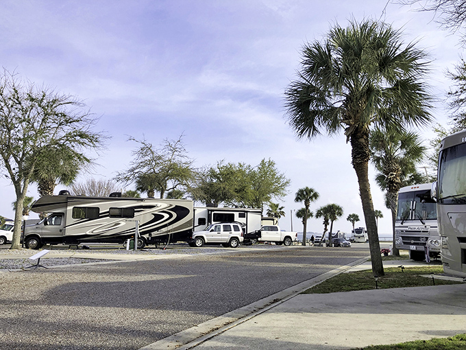 RV paradise: Where your home-on-wheels finds its perfect parking spot between palm trees and ocean breezes.