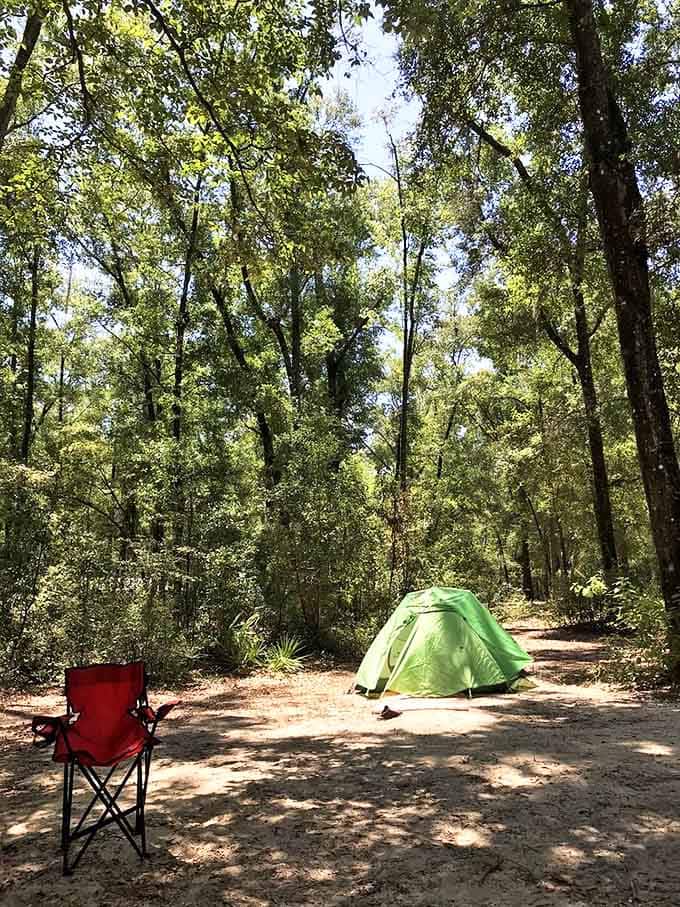 A peaceful campsite nestled among towering trees &ndash; where the loudest noise is the occasional acorn dropping.