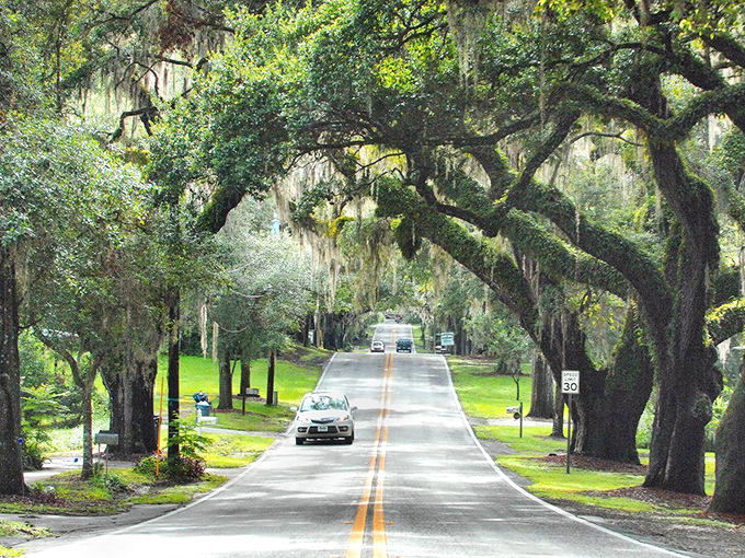 The road less hurried&mdash;where locals and visitors alike find themselves instinctively slowing down to savor nature's architectural masterpiece.