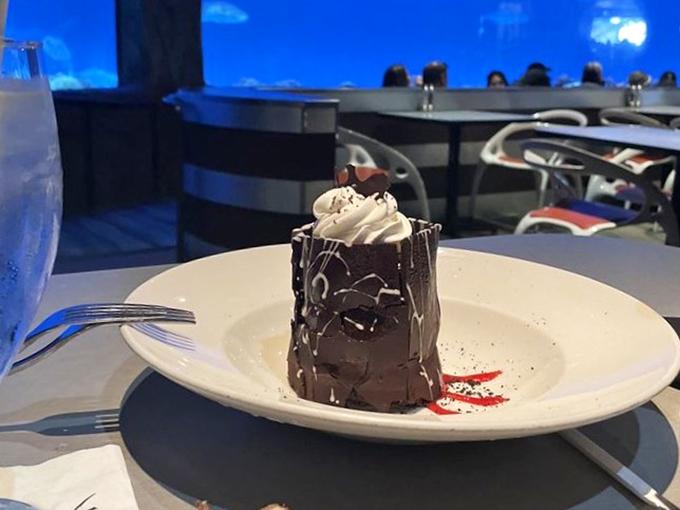 This chocolate dessert creation stands tall and proud, daring you to focus on it rather than the massive predators swimming just feet away.