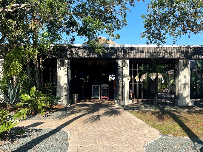 Cowpoke's Watering Hole: Boot-scootin' heaven where even the most rhythm-challenged visitors find themselves two-stepping with surprising confidence.