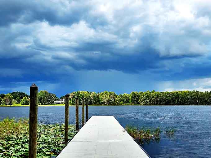 This dock extends an invitation to stand at the edge of the water and contemplate life's big questions, or just watch for fish.