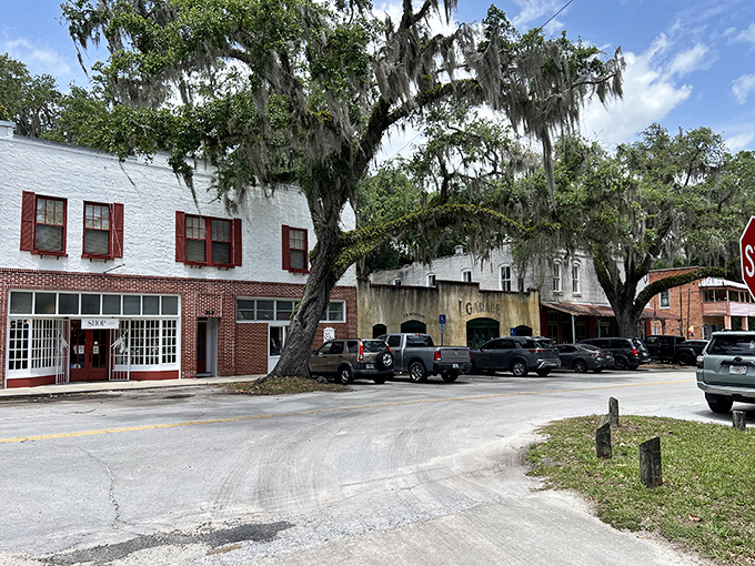 Downtown Micanopy's historic buildings stand shoulder to shoulder, witnesses to over a century of Florida's evolving story.
