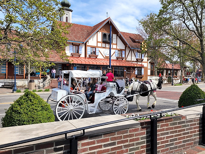 Nothing says "old-world charm" like clip-clopping through town in a horse-drawn carriage that's seen more tourists than a pretzel shop.