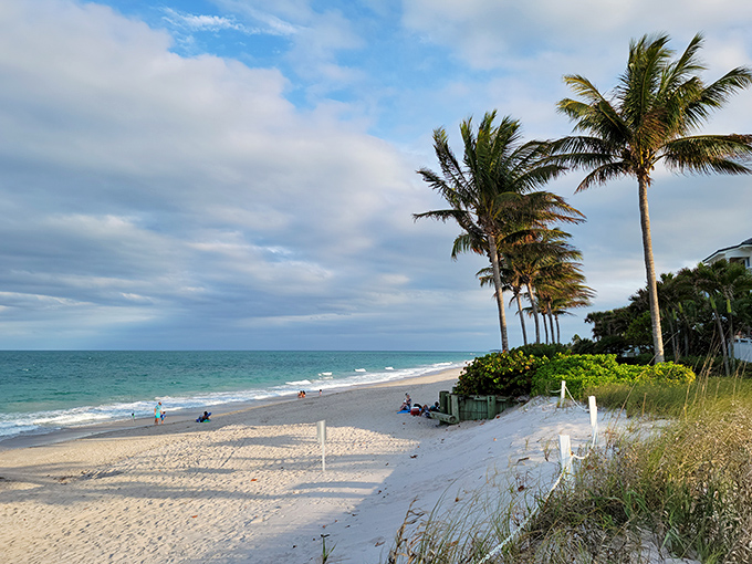 Golden hour transforms Humiston Beach Park into nature's canvas, where palm silhouettes frame the meeting point of sand and surf.
