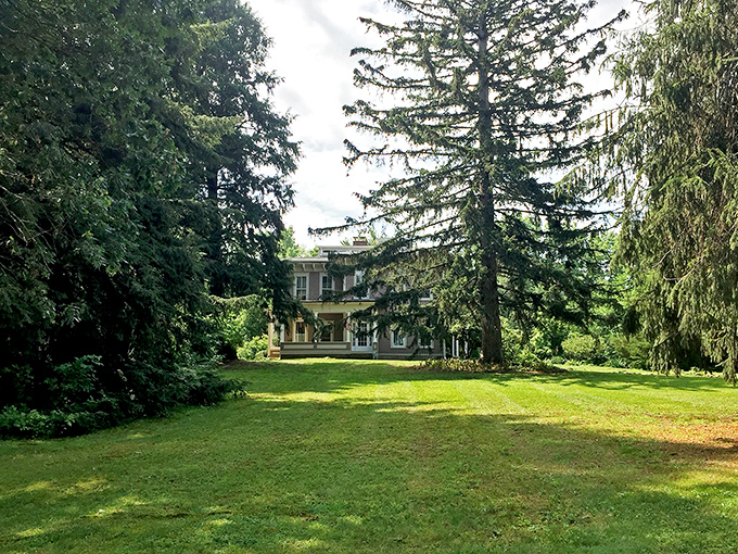 Stately trees frame the Joel Carpenter House, offering a glimpse into Blissfield's architectural heritage and prosperous historical roots.