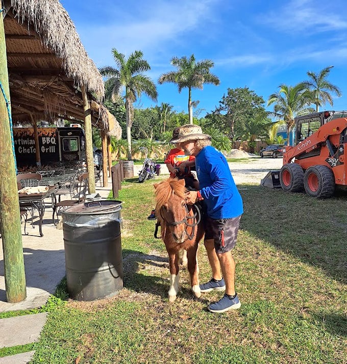 Childhood magic in motion &ndash; tiny riders and tiny ponies creating memories that will outlast any video game high score.