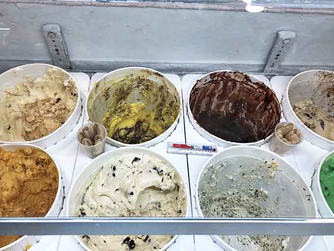Ice cream tubs lined up like an edible color palette – from classic vanilla bean speckled with tiny black dots to rich chocolate depths.