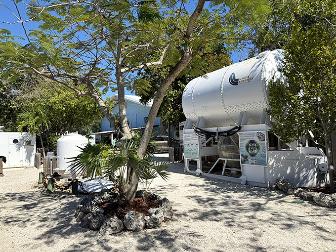 The MarineLab facility houses research equipment and educational displays &ndash; where marine science happens between underwater naps.