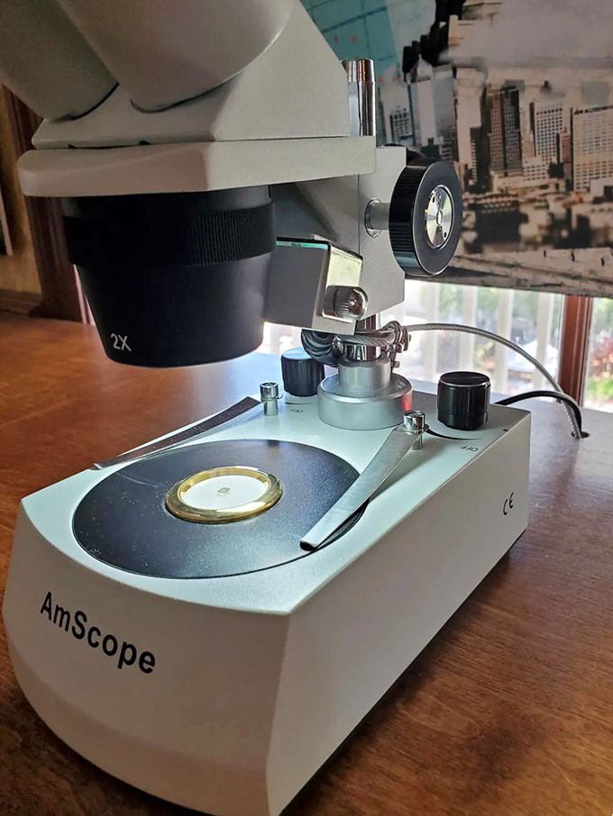 The AmScope microscopes provide crystal-clear views of artwork created on canvases smaller than a grain of sand.