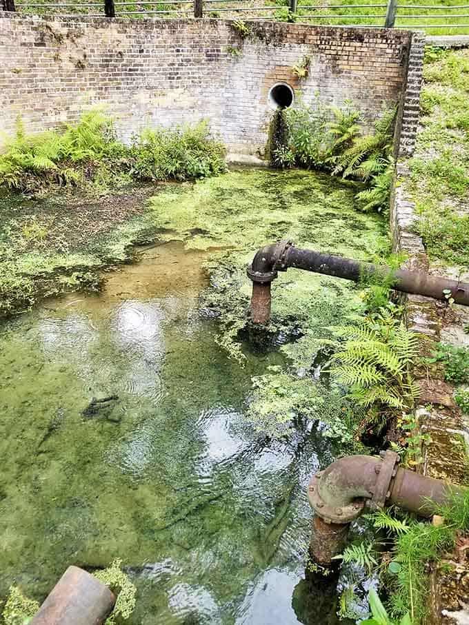 Engineering meets nature as historic pipes and valves emerge from mossy waters, creating an unintentional sculpture garden of industrial relics.