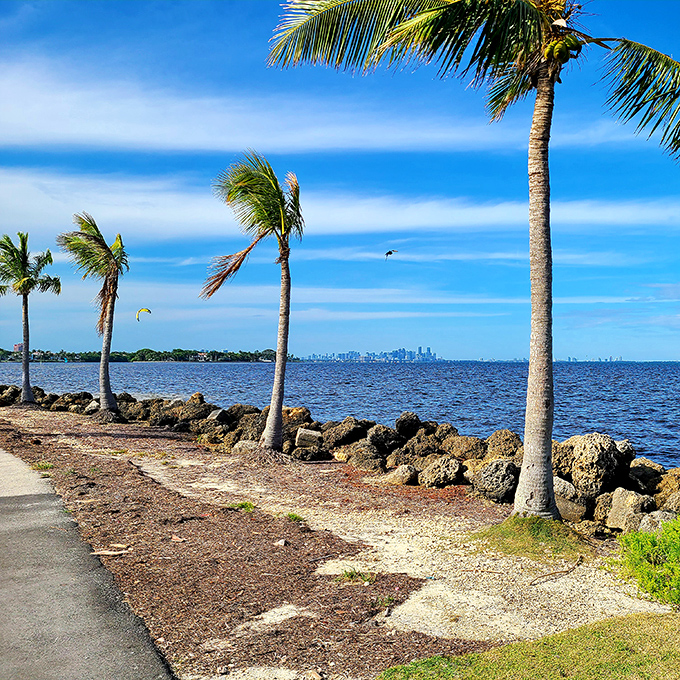 Miami's skyline shimmers in the distance &ndash; a reminder that this peaceful oasis exists just minutes from urban excitement.