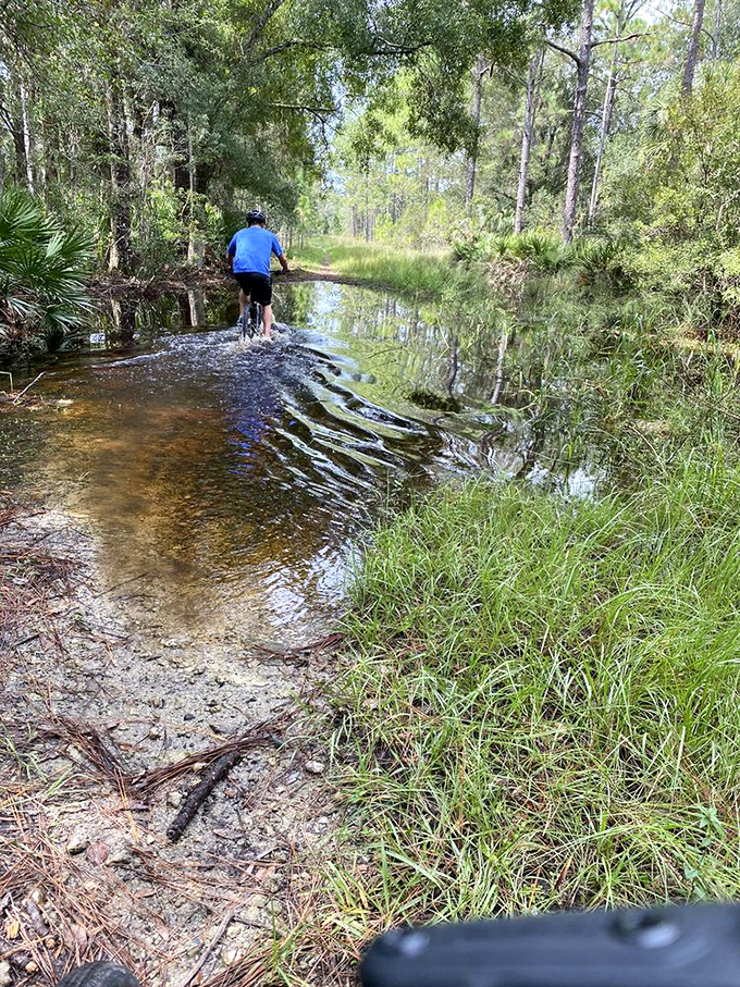 Adventure calls as a brave explorer tests the waters &ndash; sometimes the path less taken involves getting your feet wet!