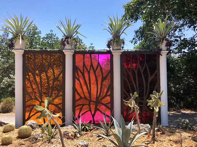 Vibrant stained-glass panels transform ordinary sunlight into an extraordinary color show – like nature needed more ways to show off.