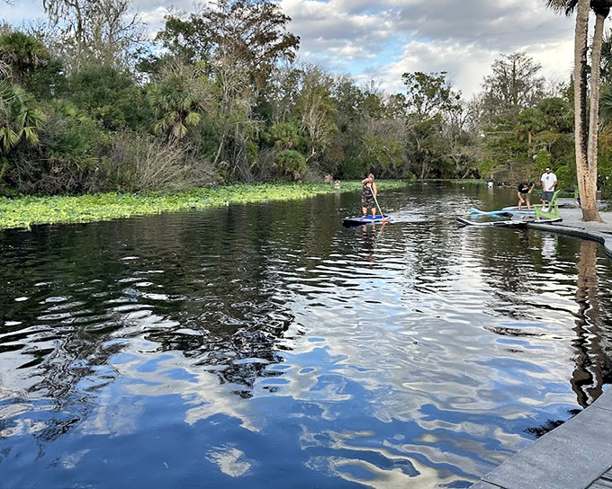 Paddle Boarding: Modern adventurers glide across waters that have flowed for millennia, creating ripples that quickly fade into the timeless rhythm of the springs.