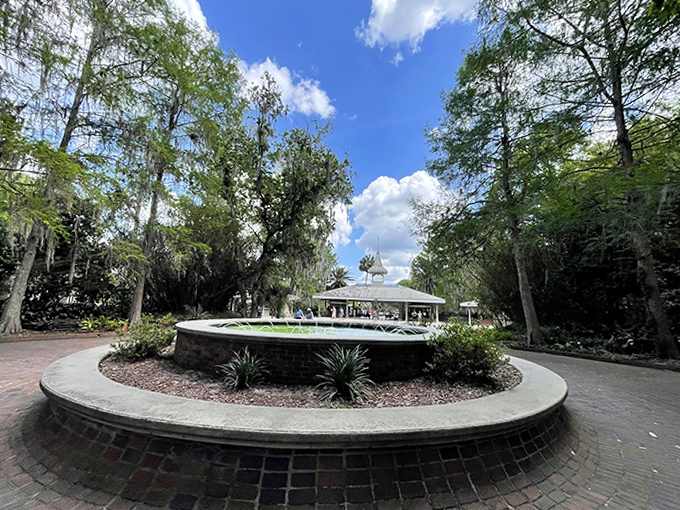 This isn't just a fountain, it's nature's original water feature, bubbling up from underground with no electricity bill.