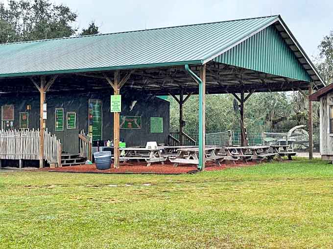 The rustic pavilion provides a shaded rest area where visitors can digest both their snacks and the amazing wildlife experiences they've just had.
