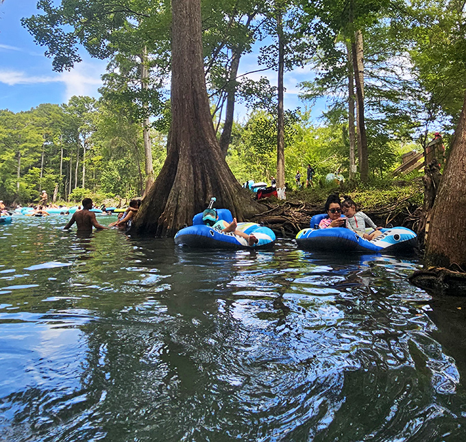 Nothing says "Florida summer" quite like floating down crystal waters on a colorful tube, letting the gentle current do all the work.