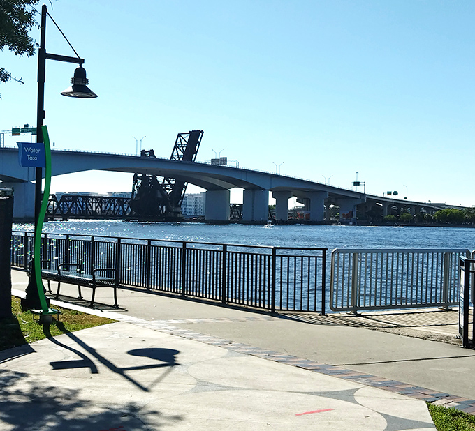 The St. Johns River provides a serene backdrop for Jacksonville's waterfront attractions, with the Main Street Bridge connecting the city's banks.