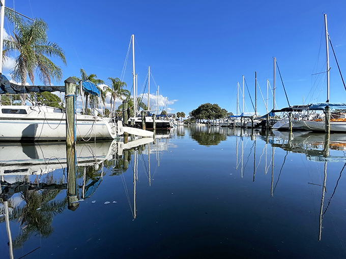 Mirror-like waters reflecting sailboat masts create a postcard-worthy marina scene. Even the boats seem to be enjoying a peaceful Florida day.