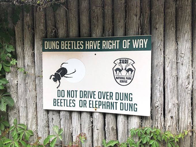 This sign offers oddly specific yet practical advice about dung beetles – possibly the only traffic warning that involves both insects and elephant waste.
