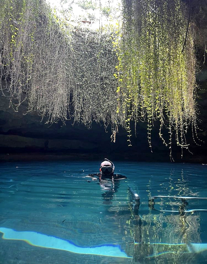 Snorkeling Man: A lone explorer glides beneath curtains of ancient roots, communing with 33,000 years of geological history.