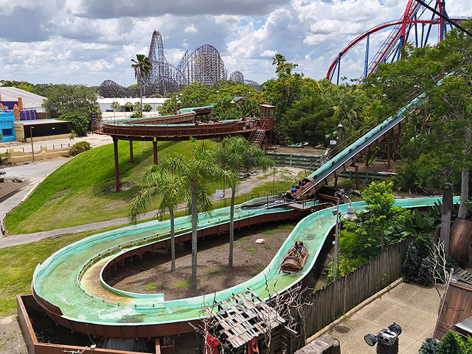 Stanley Falls Flume: Nature's way of reminding you that bringing your smartphone on water rides was a questionable life choice.