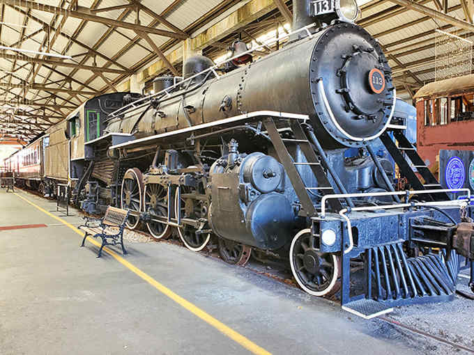 Steam locomotives are basically dragons that run on coal and water instead of magic, and this one looks ready to breathe fire.
