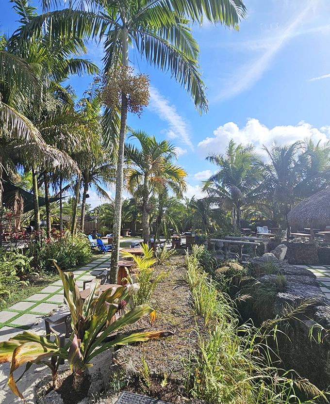 Summer perfection captured in one frame: palm trees, blue skies, and inviting waters create the kind of day that vacation dreams are made of.