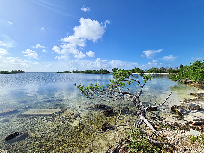 Summer perfection: Under skies so blue they seem painted, Bahia Honda delivers the kind of day that vacation memories are built upon.