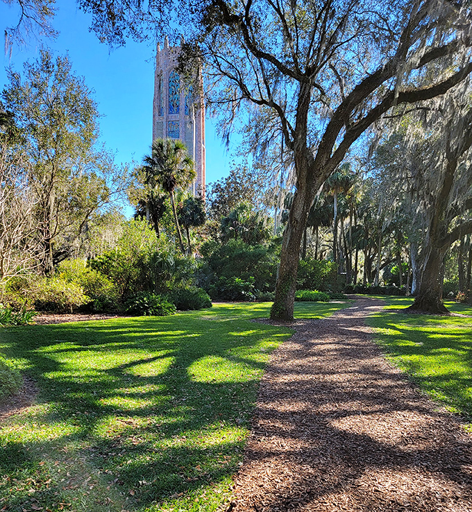 Dappled sunlight creates nature's spotlight on this shaded path, where Spanish moss sways like dancers in the breeze.