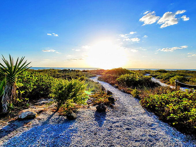 Summer season: Where pathways lead to paradise and every turn reveals another postcard-worthy view that no filter could possibly improve.