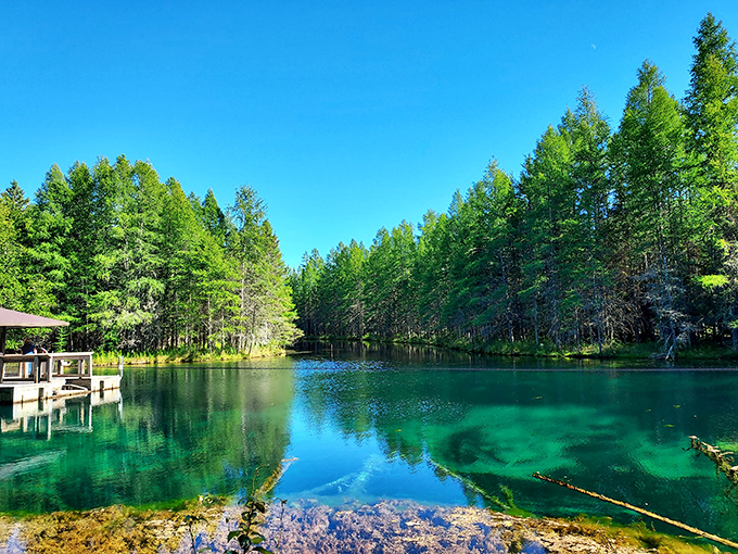 Summer at Kitch-iti-kipi brings a perfect harmony of blue skies and bluer waters, creating a scene that belongs on Michigan's tourism brochures.