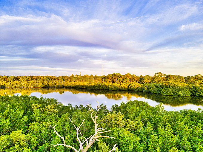 The park's reflective waters create mirror images so perfect they'd make Narcissus jealous.