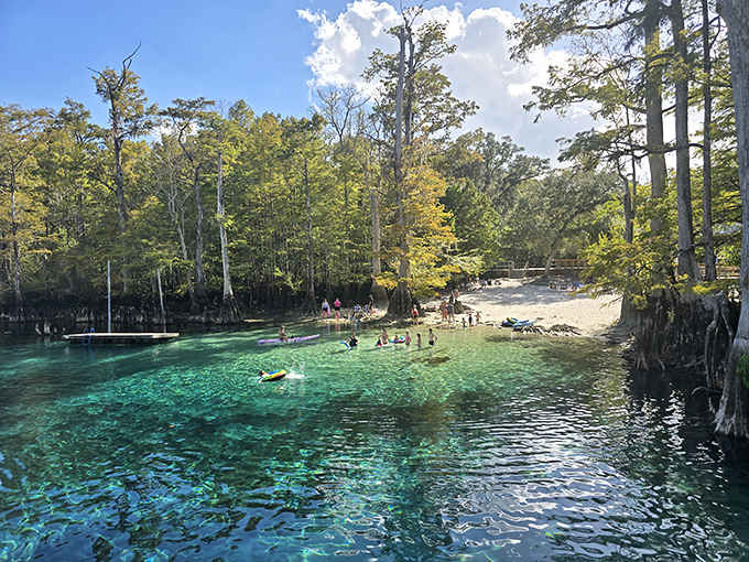 Swimmers float in water so clear they appear suspended in air – a refreshing 68-degree respite from Florida's notorious summer heat.